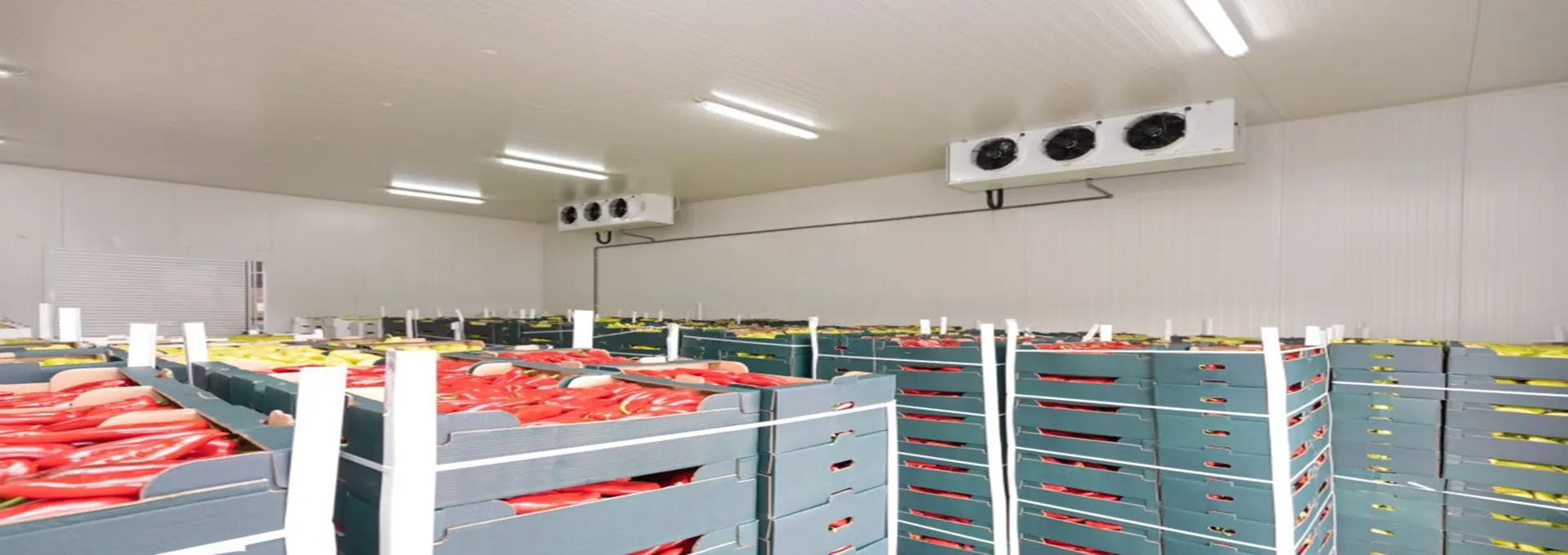 Alpha Refrigeration Company